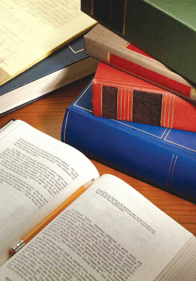 Choosing the Right Attorney • Bribriesco Law Firm